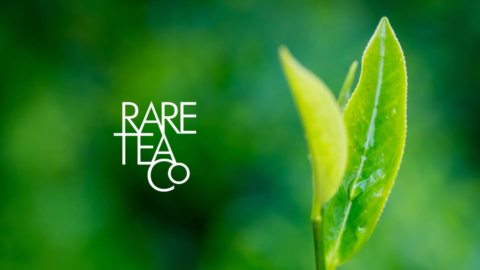About Rare Tea | Loose Leaf Tea | Rare Tea Company