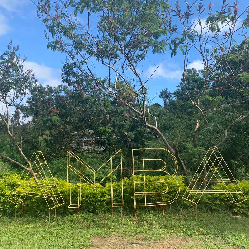 Farm Profile - the Amba Estate | Rare Tea Company