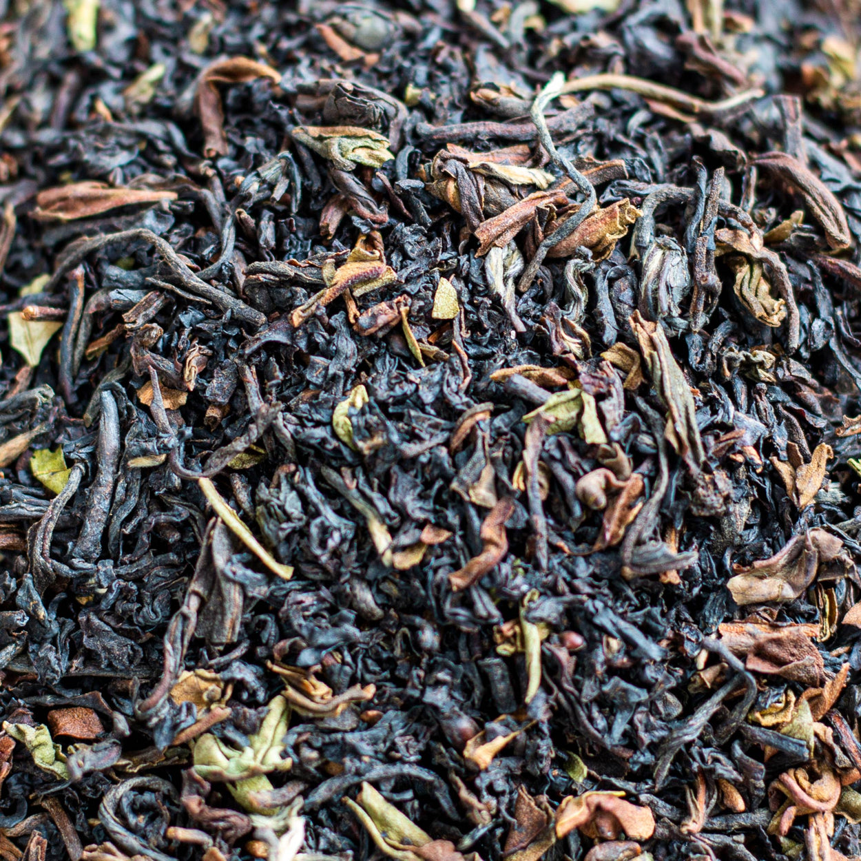 How to Make the Perfect Cold Infusion | Rare Tea Company