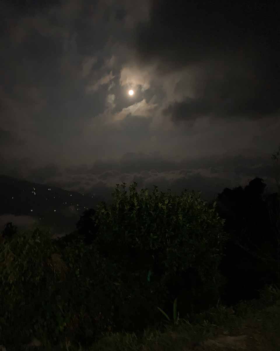 Farm Profile - the Jun Chiyabari Tea Garden | Rare Tea Company