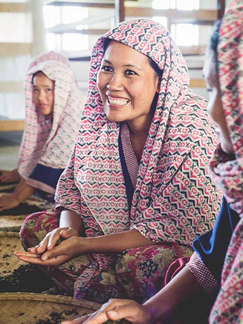 About Rare Tea | Loose Leaf Tea | Rare Tea Company