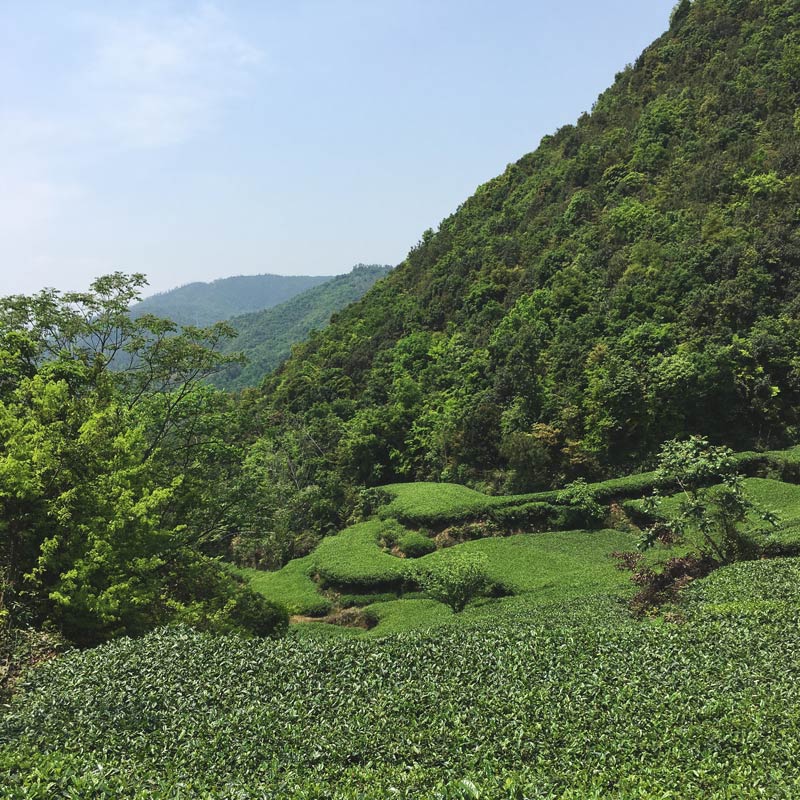 Chinese Emperor's Breakfast Loose Black Tea | rareteacompany.com