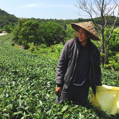 Chinese Emperor's Breakfast Loose Black Tea | Rare Tea Company