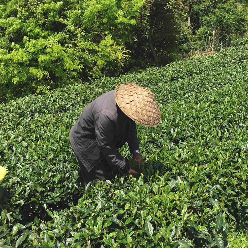 Chinese Emperor's Breakfast Loose Black Tea | rareteacompany.com