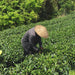 Chinese Emperor's Breakfast Loose Black Tea | rareteacompany.com