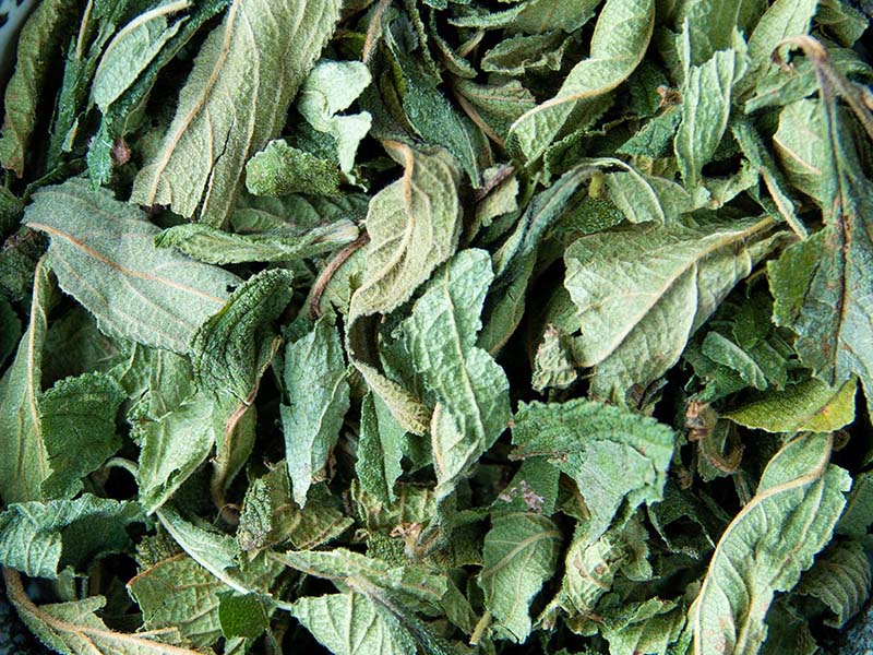 Rare Tea Company | Sustainable Loose Leaf Teas, Teaware and Gifts