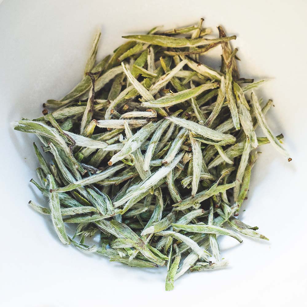 Silver Tip White Tea | Rare Tea Company