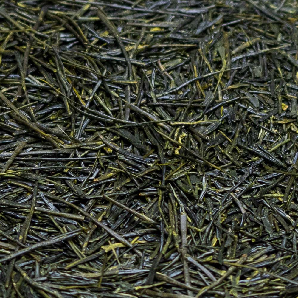 Japanese Sofu Sencha Green Tea | Rare Tea Company