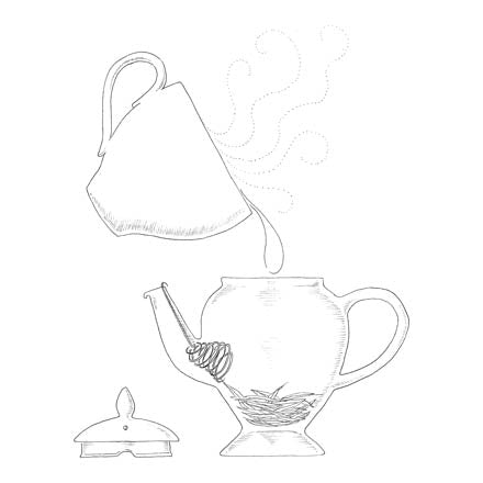 How to Make the Perfect Cup of Tea | Rare Tea Company