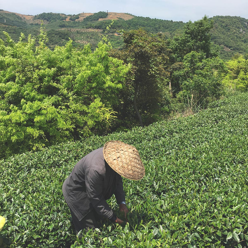 Chinese Emperor's Breakfast Loose Black Tea | rareteacompany.com