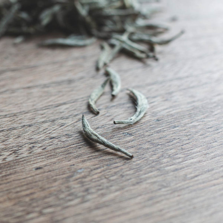 Loose Leaf White Tea UK | Rare Tea Company