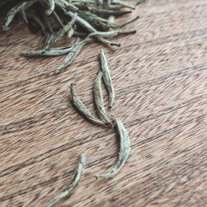 Loose Leaf White Tea UK | Rare Tea Company
