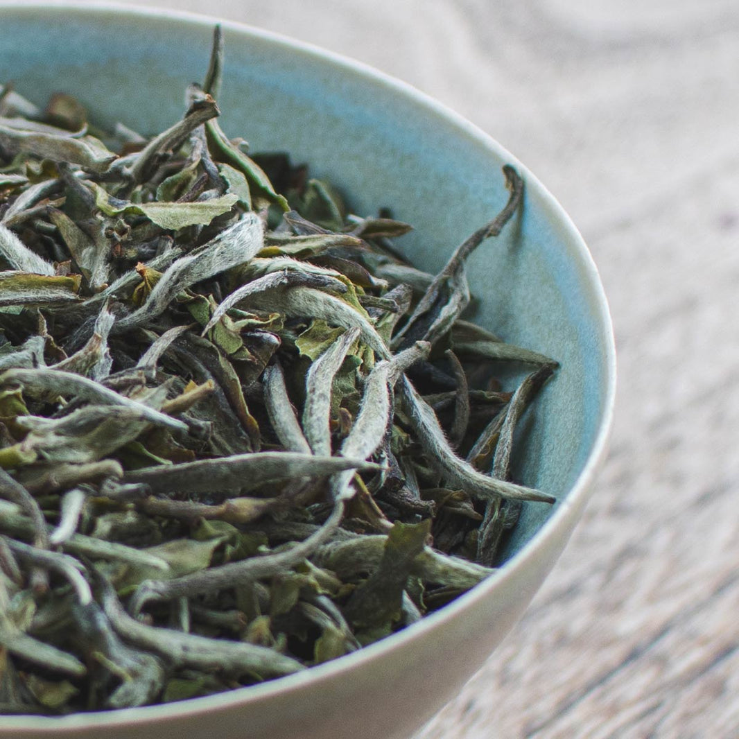 Loose Leaf White Tea UK | Rare Tea Company