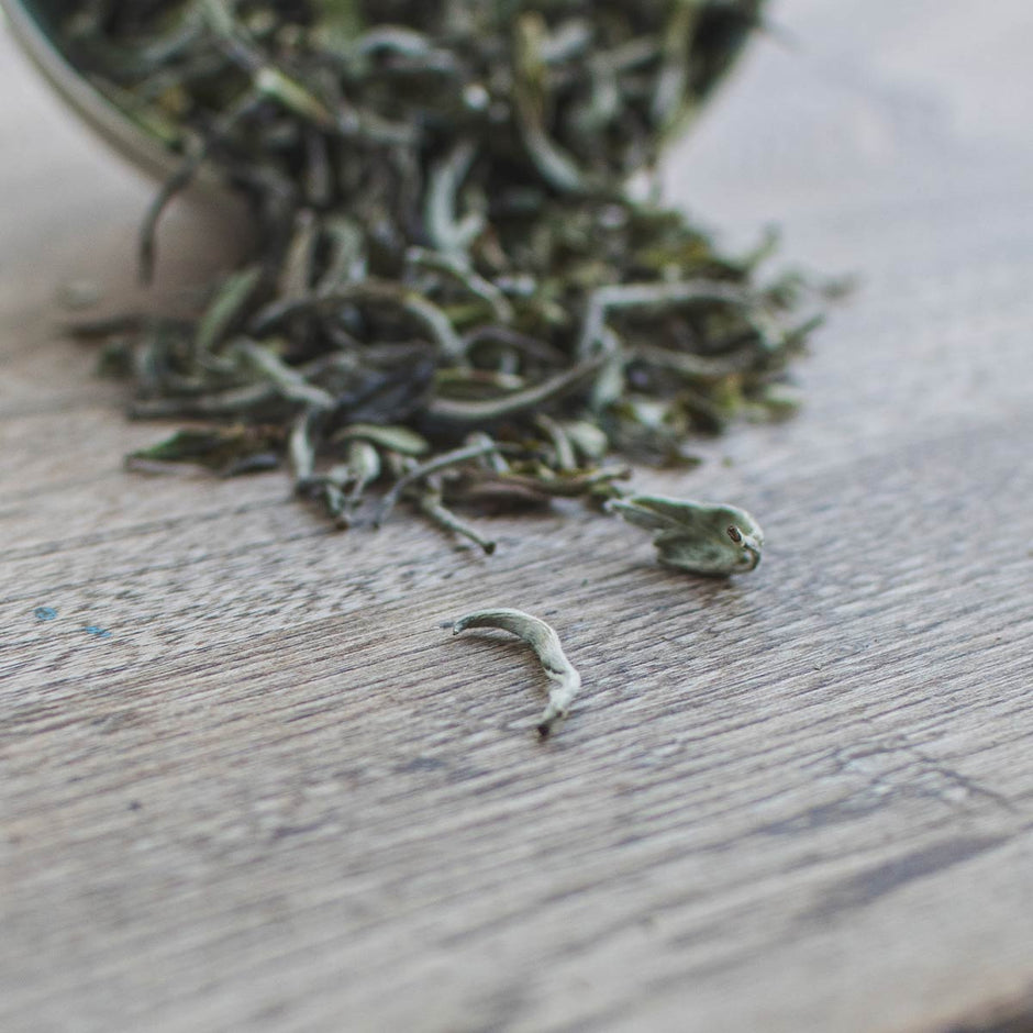 Loose Leaf White Tea UK | rareteacompany.com
